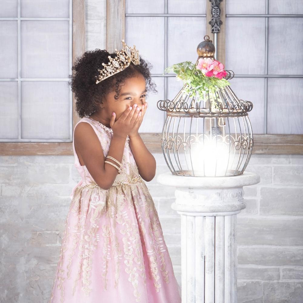Apply To Receive A Princess Portrait Session